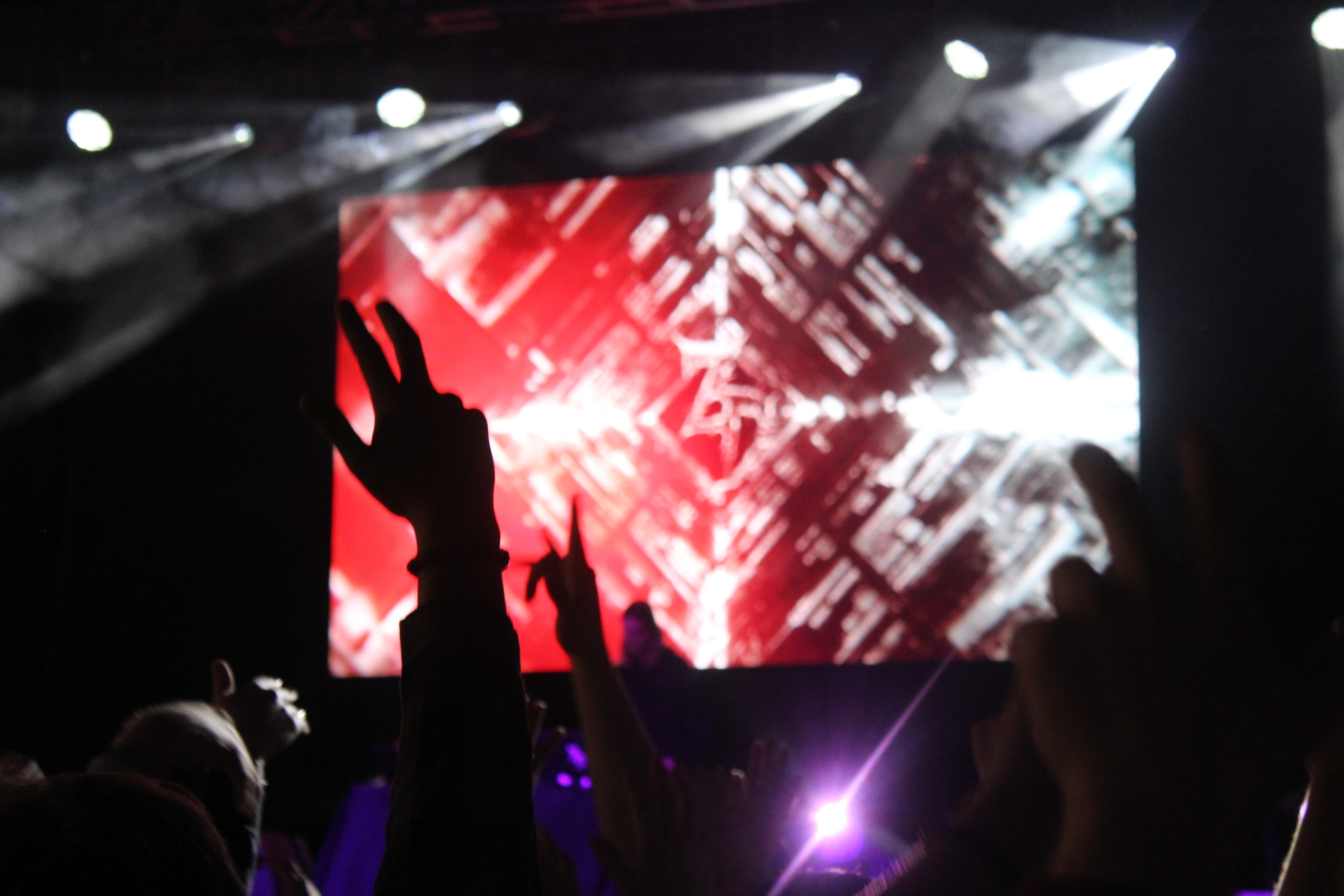 The Big Fest and the Flash Behind It. | by Amy Kober | Medium