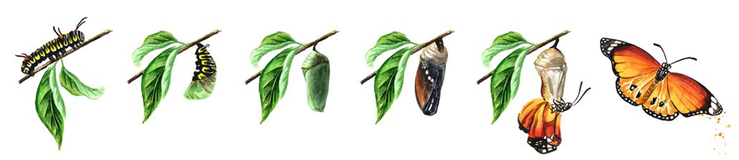 Deploying Sagemaker Model — Batch Transform | by Mert Atli | Jan, 2023 | Medium