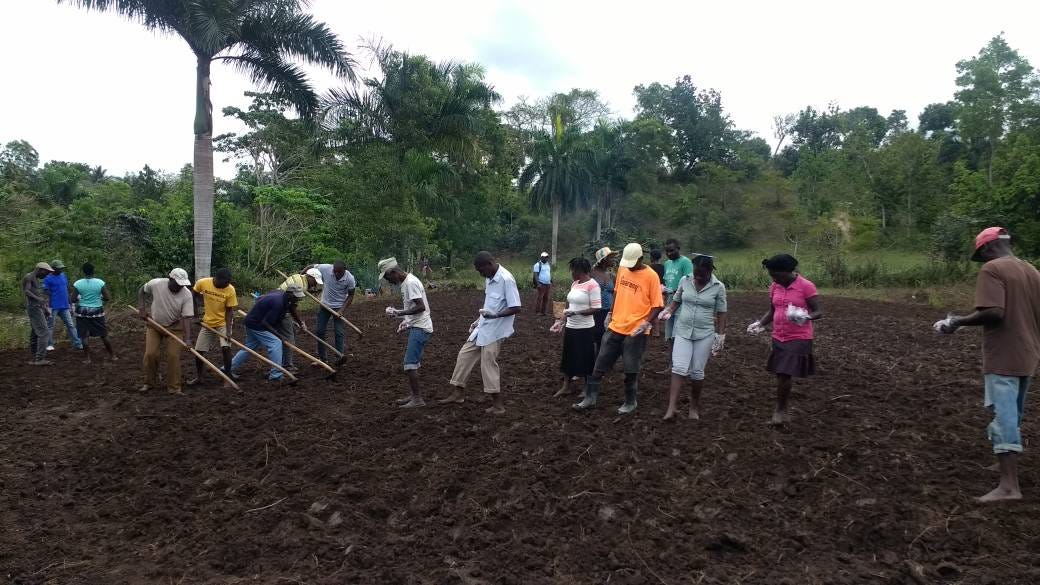 Future of Agriculture in Haiti. (Last of 4 part series on Haiti’s… | by ...