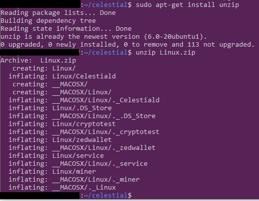 Installing and running Celestial using WSL (Windows Subsystem for Linux ...