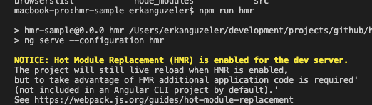 Implementation of HMR(Hot Module Replacement) to Angular Project | by Erkan Güzeler | echoHub ...