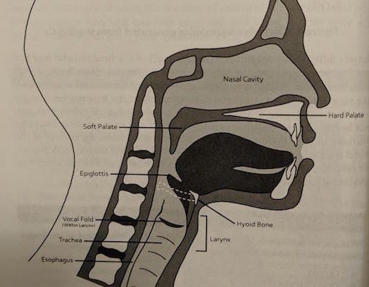 Week 2: moving my arms (in a helpful way) & learning about singing ...