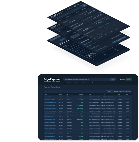 Algoexplorer 2 0 The New Algorand Block Explorer Is Here By Pablo Yabo Rand Labs Medium