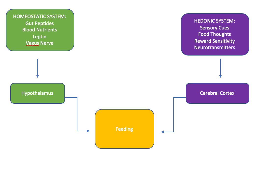 WHY DO WE EAT?. HOW HEDONICS HIJACK YOUR HEALTH | by Jessica Tomasello ...