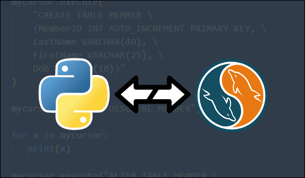 My First Python and MySQL Database | by Luke Ostrander | CodeX | Medium