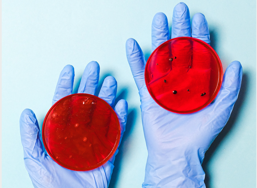 4 Startups That Are Reinventing the Food We Eat | by Abbey | CARRE4 ...
