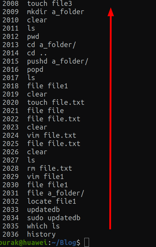 Terminal Usage (BASH). I am gonna share the most useful… | by Burak ...