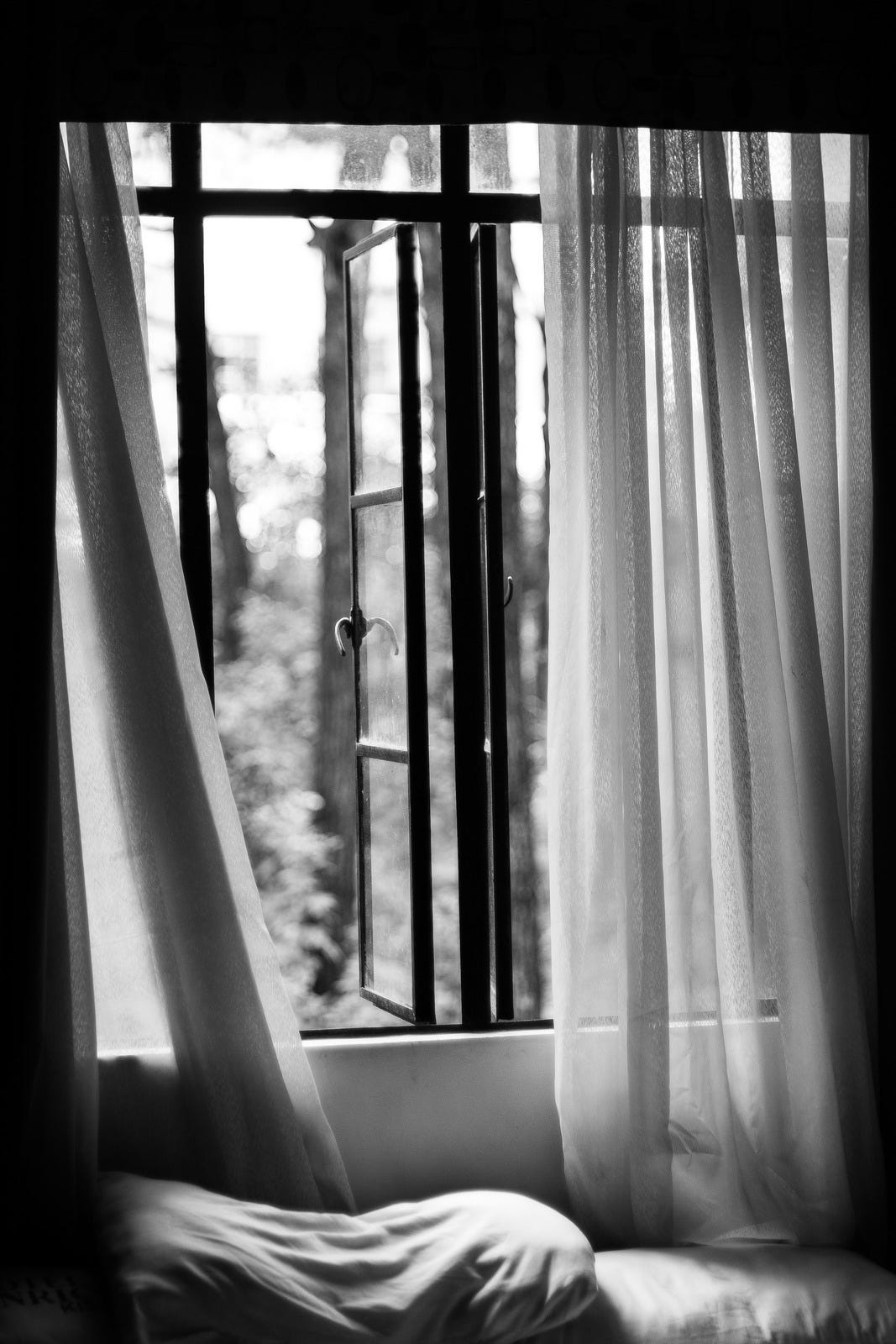 Open Window. A Spiritual Poem | by Harley King | Spiritual Tree | Medium