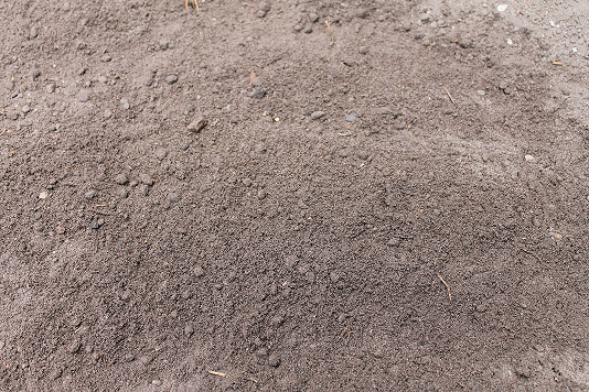 Everything That You Need to Know About Topsoil | by Bittern Garden | Medium