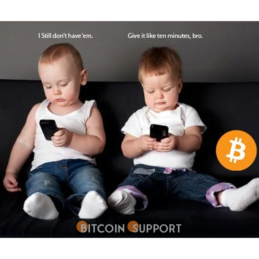 I orange-pilled the youngsters, honey! BTC’s children’s authors discuss ...