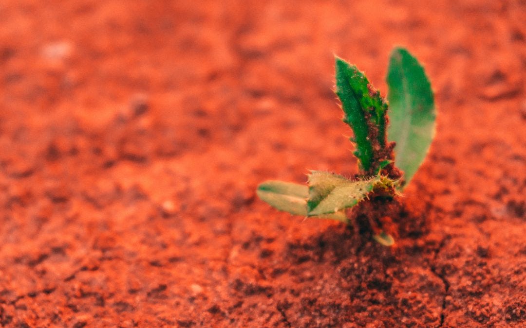 Four Signs that Point to the Completion of a Life Transition | by ...
