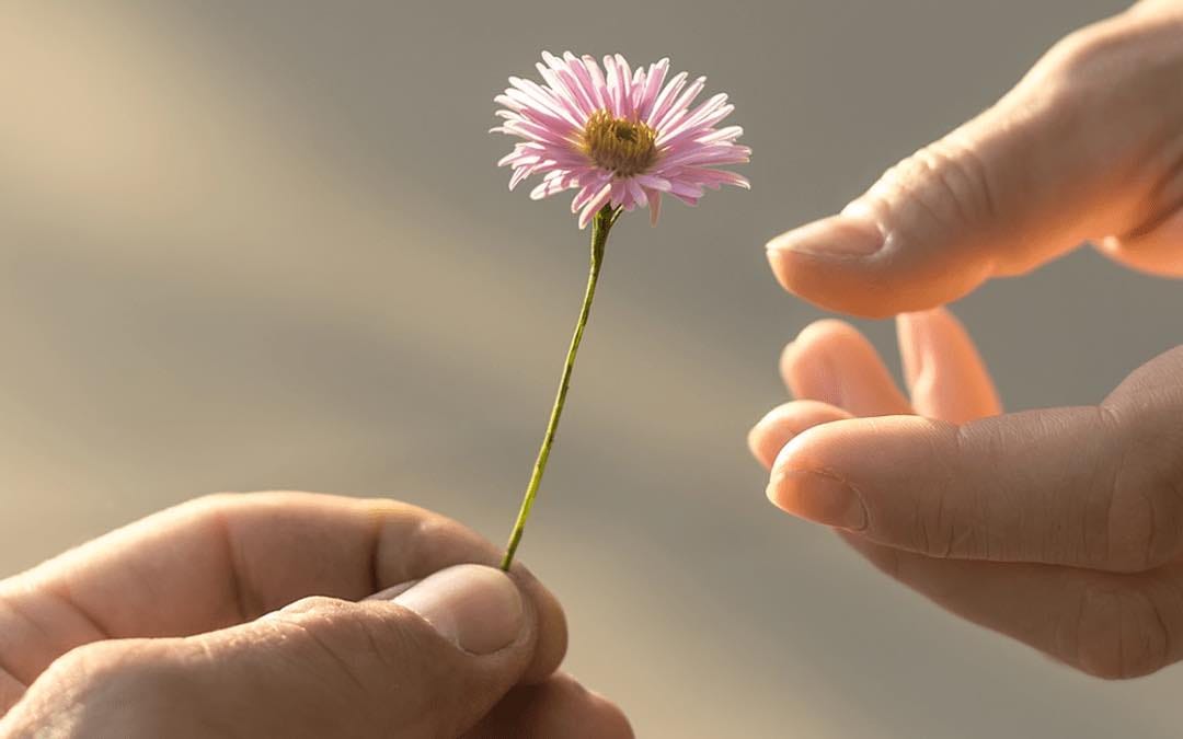 Looking down on others…. We should never look down upon the… | by Shyam ...
