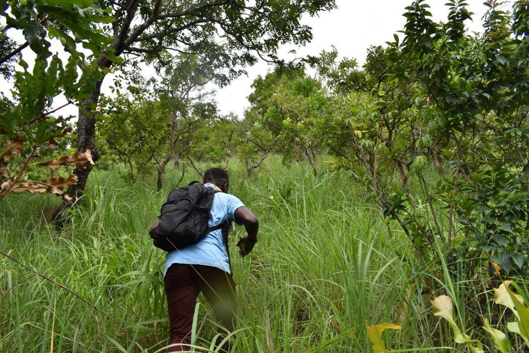 The Hiker’s Diary: The Tale of an Adventurous Hiking in Akwuke, Enugu ...