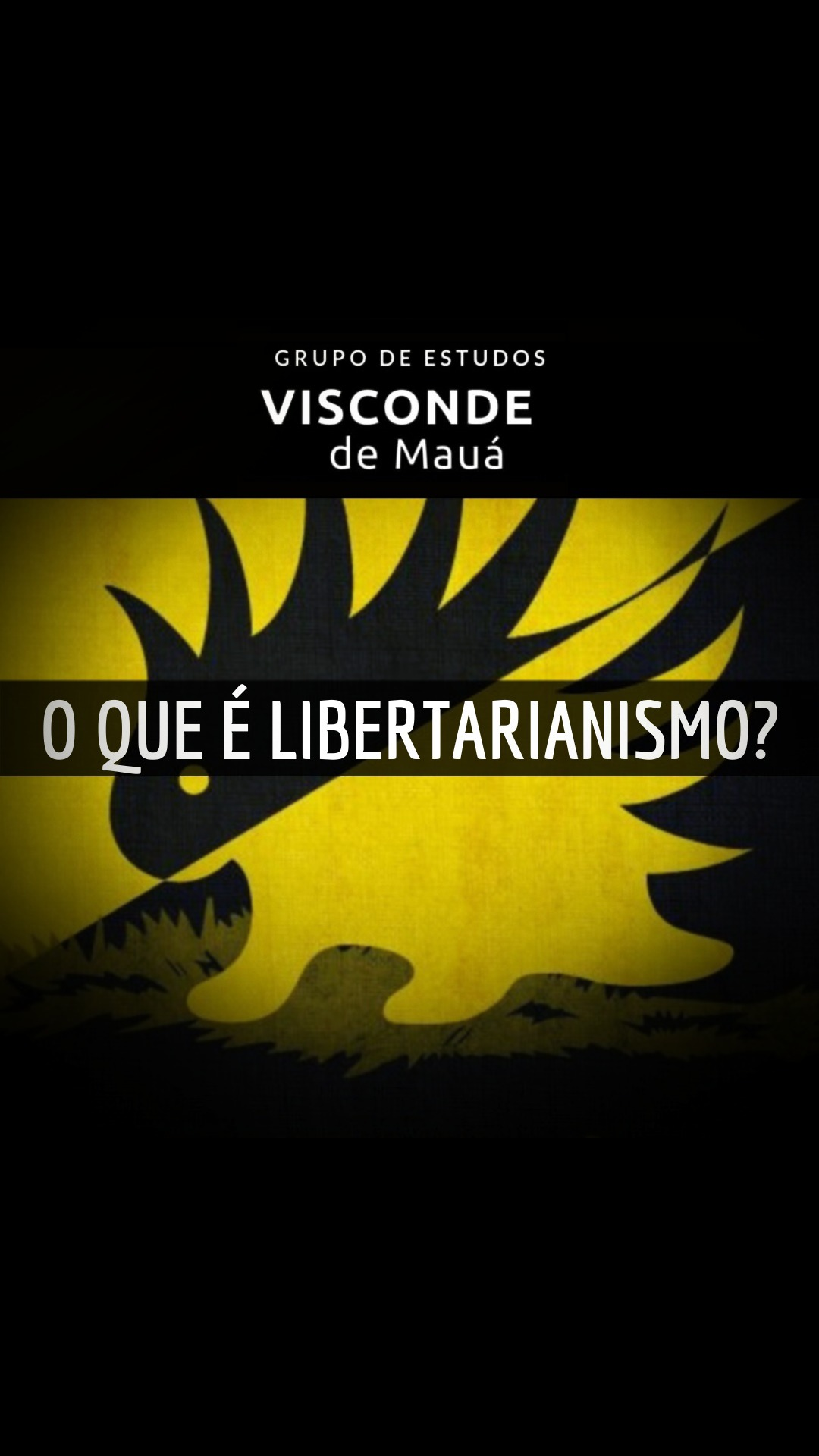 O QUE É LIBERTARIANISMO? — Por: Mário César | by Grupo Visconde de Mauá ...