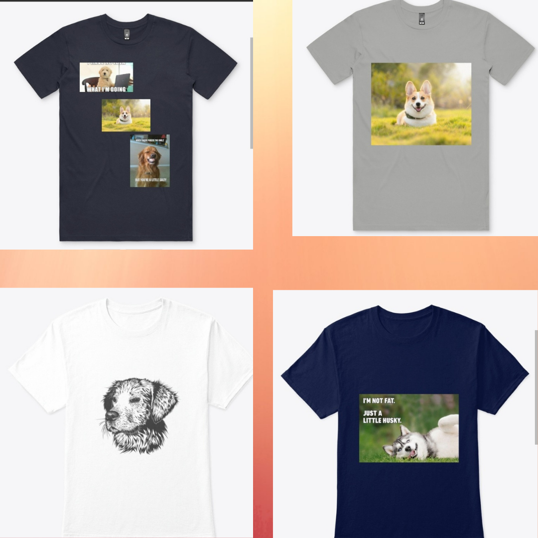 MEME TSHIRTS AT LOW AND AFFORDABLE PRIZE | by Ayush | Medium