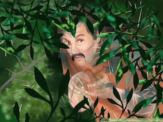Another 25 Strange, Insanely Beautiful WikiHow Images | by Ted Pillow ...