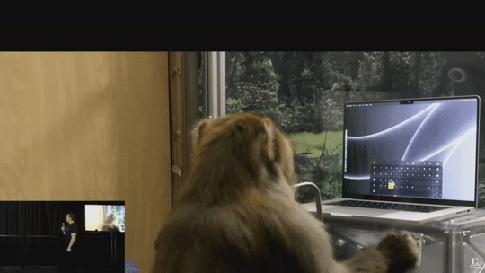 Monkey Typewriter Gif