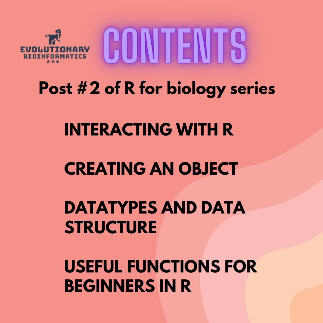 Interacting with R, simplified for quick understanding. | by Everything ...