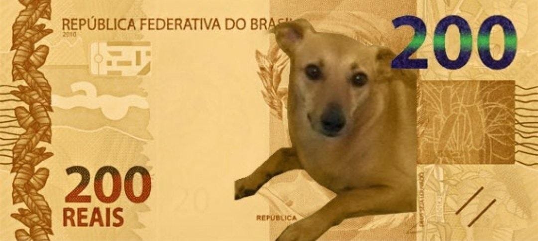 Nota de 200 reais: dos memes a inflação | by MajuDeolindo | Maju ...
