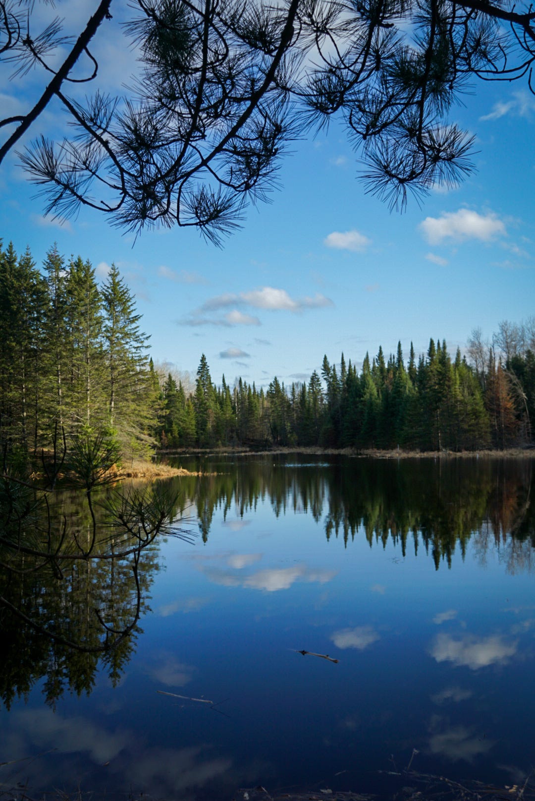 The Northwoods. There is always something special about… | by Zach ...