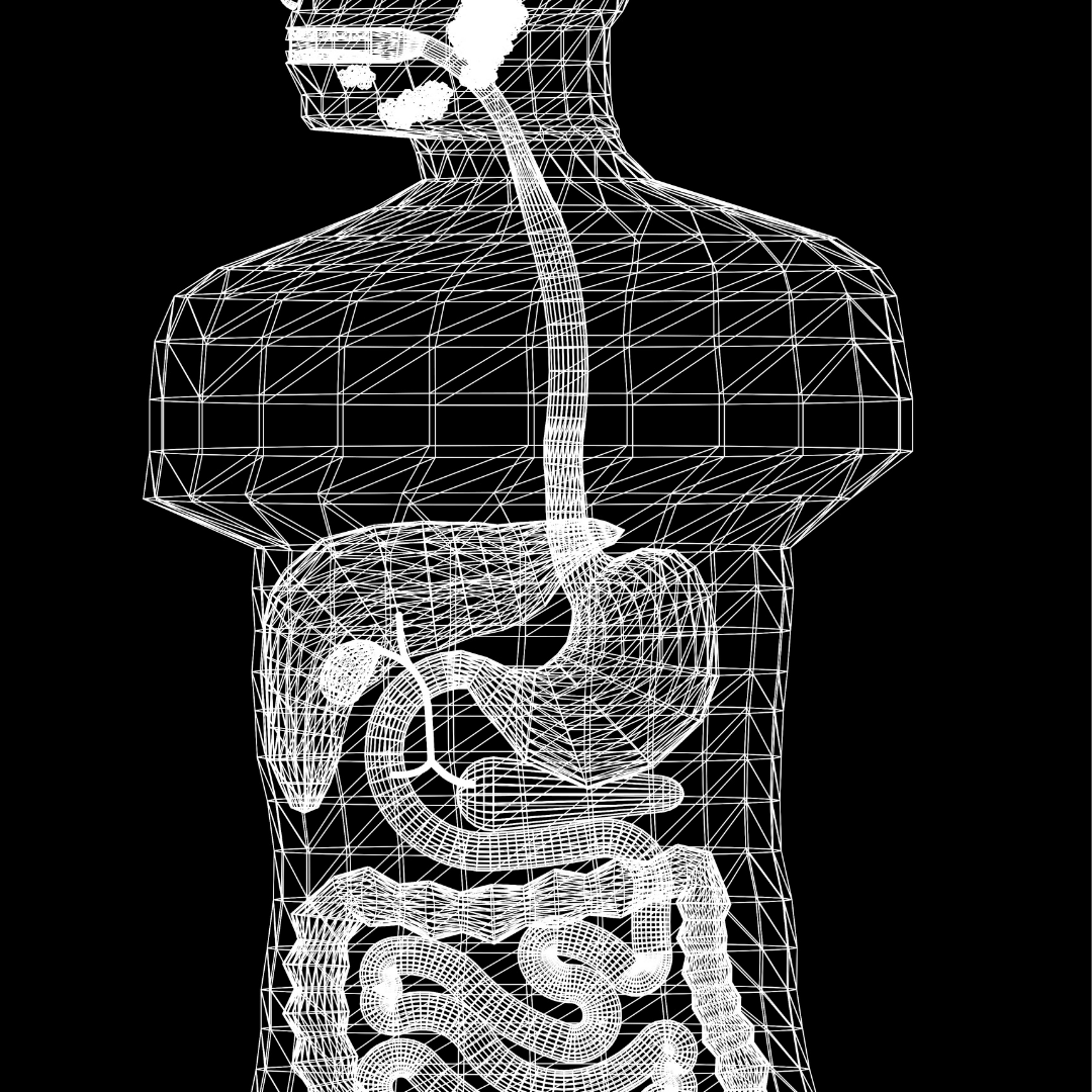 WHAT IS THE NORMAL SUGAR LEVEL IN THE HUMAN BODY By Chiwendu