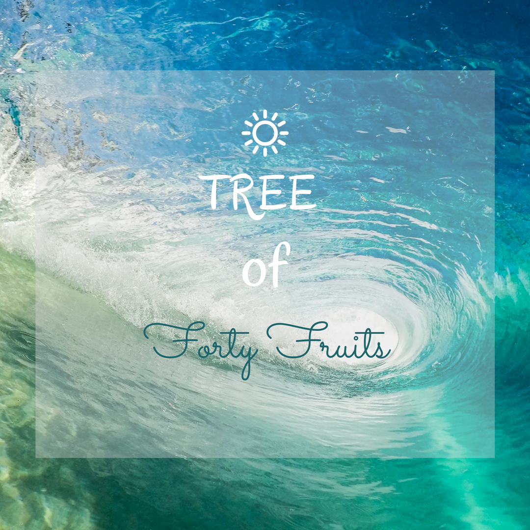 Tree of 40 Fruits. “You don’t find yourself, you create… | by Mallerie ...