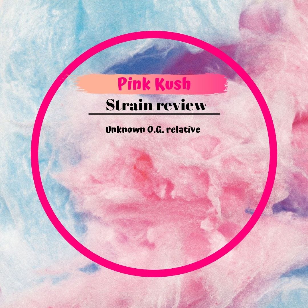 Pink Kush Strain Review By San Rafael 71 | by Lorne Bronstein ...
