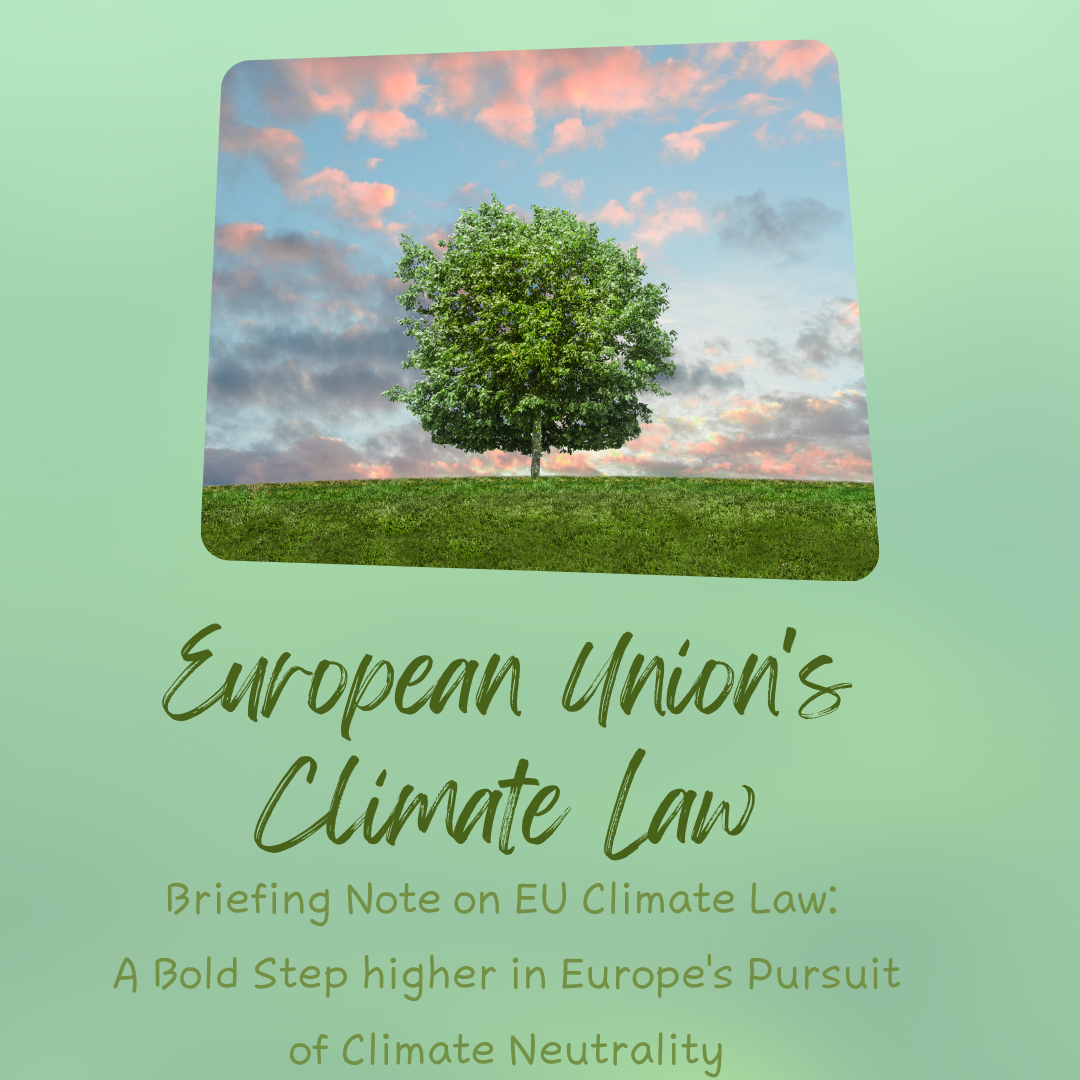 EU Climate Law — A Bold Step Higher in Europe’s Pursuit of Climate ...