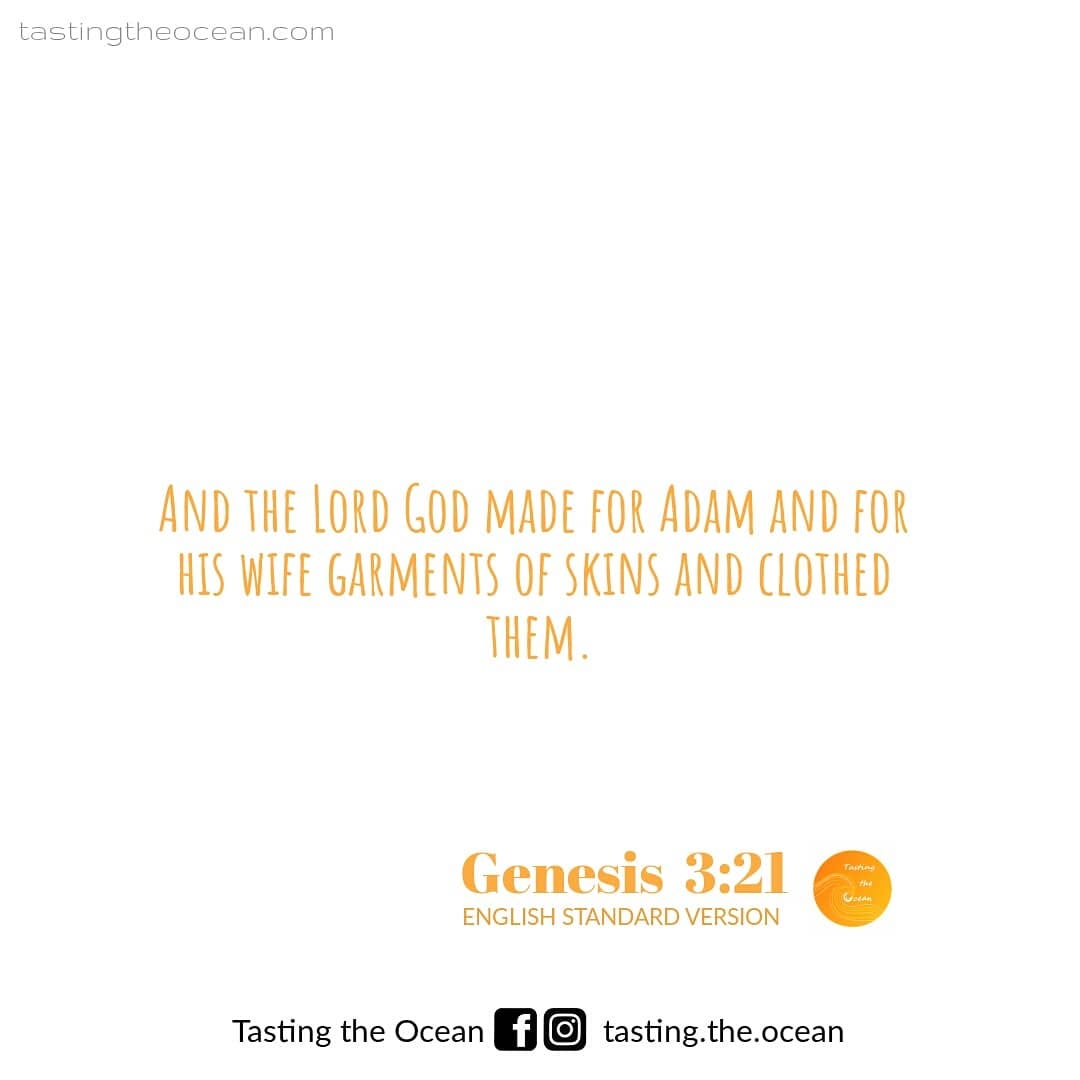 🌻God clothed them.🌻 "God provided clothing for Adam and Eve, physically ...
