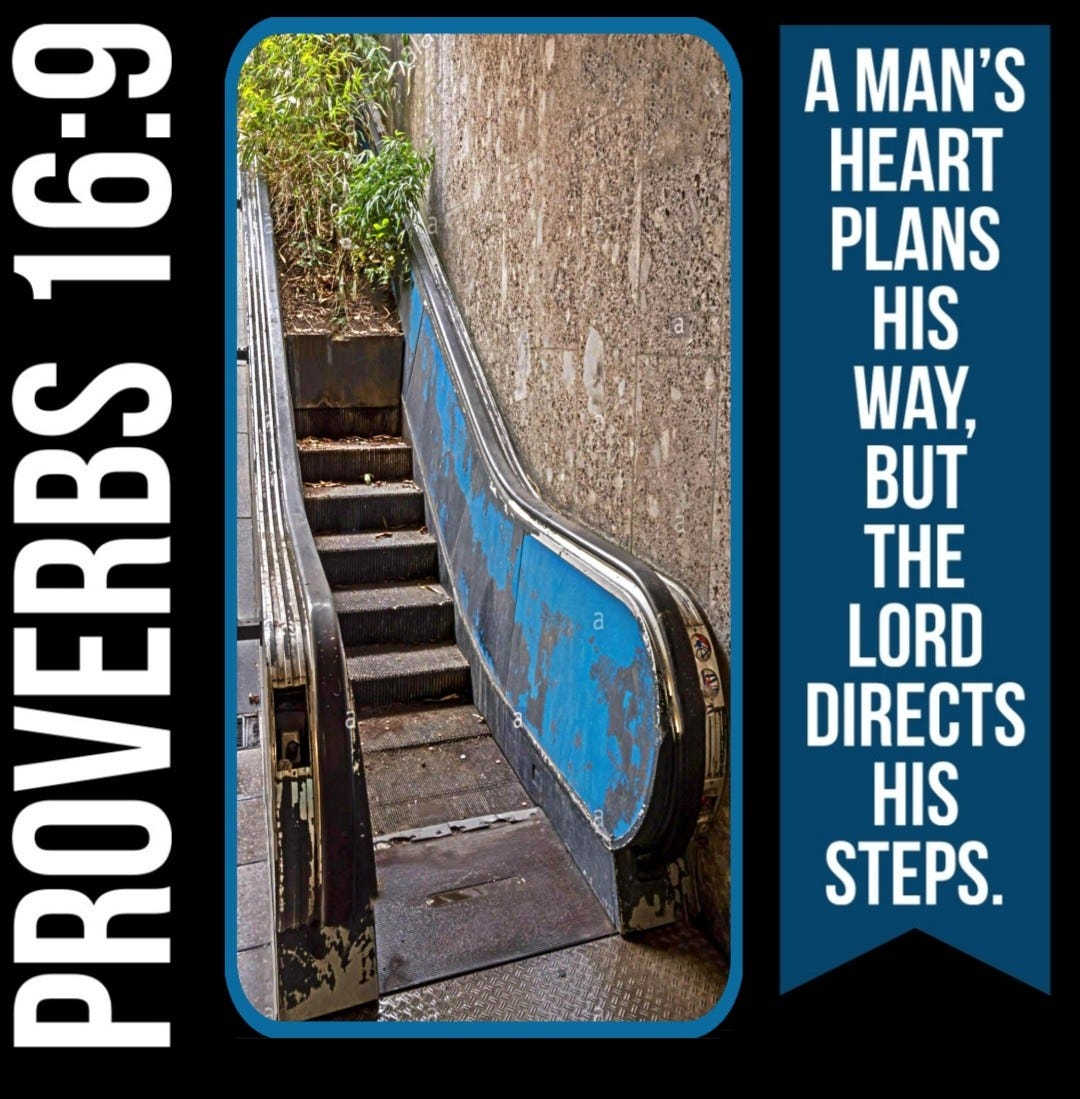A man’s heart plans his way, But the Lord directs his steps. - Proverbs ...