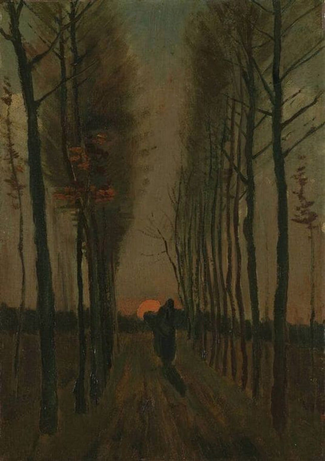 Lane of Poplars (A Poem). I think of you Now Yesterday… | by Aba Ebad ...