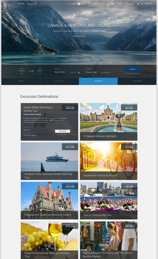 Royal Caribbean Cruises Ltd. Internship Projects and Experience | by ...