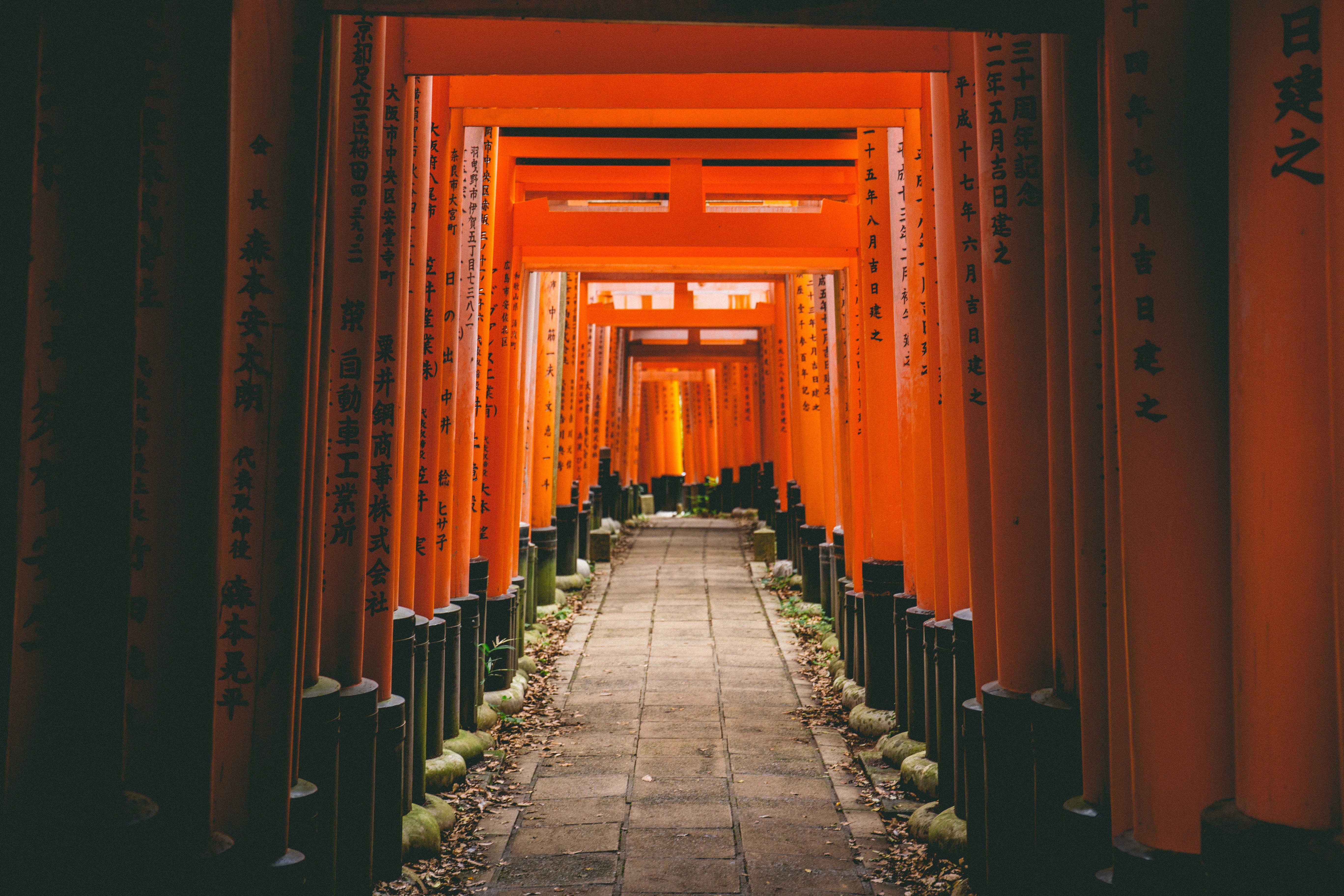 A 3000-year old Japanese Ritual that Will Hack Your Productivity | by ...