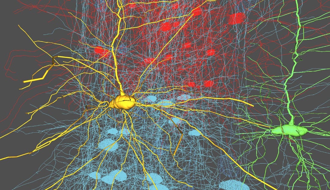 Modeling the brain at multiple scales | by eLife | Brains and Behaviour | Medium