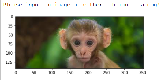 Dog Breed Classification Project. This blog is a summary of the dog ...