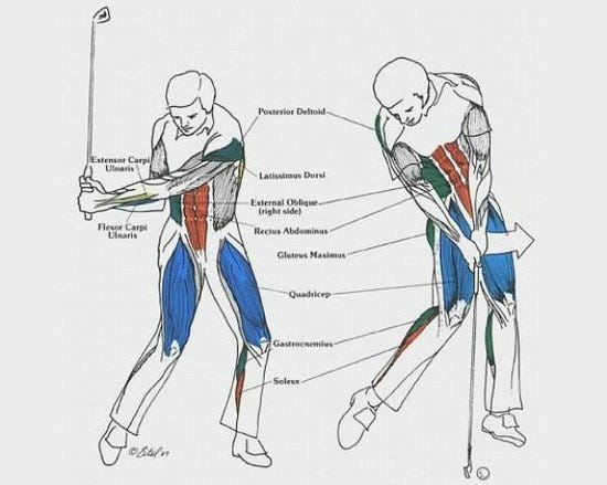 In Depth Look at the Field of Golf-Biomechanics - Danny Miegel - Medium