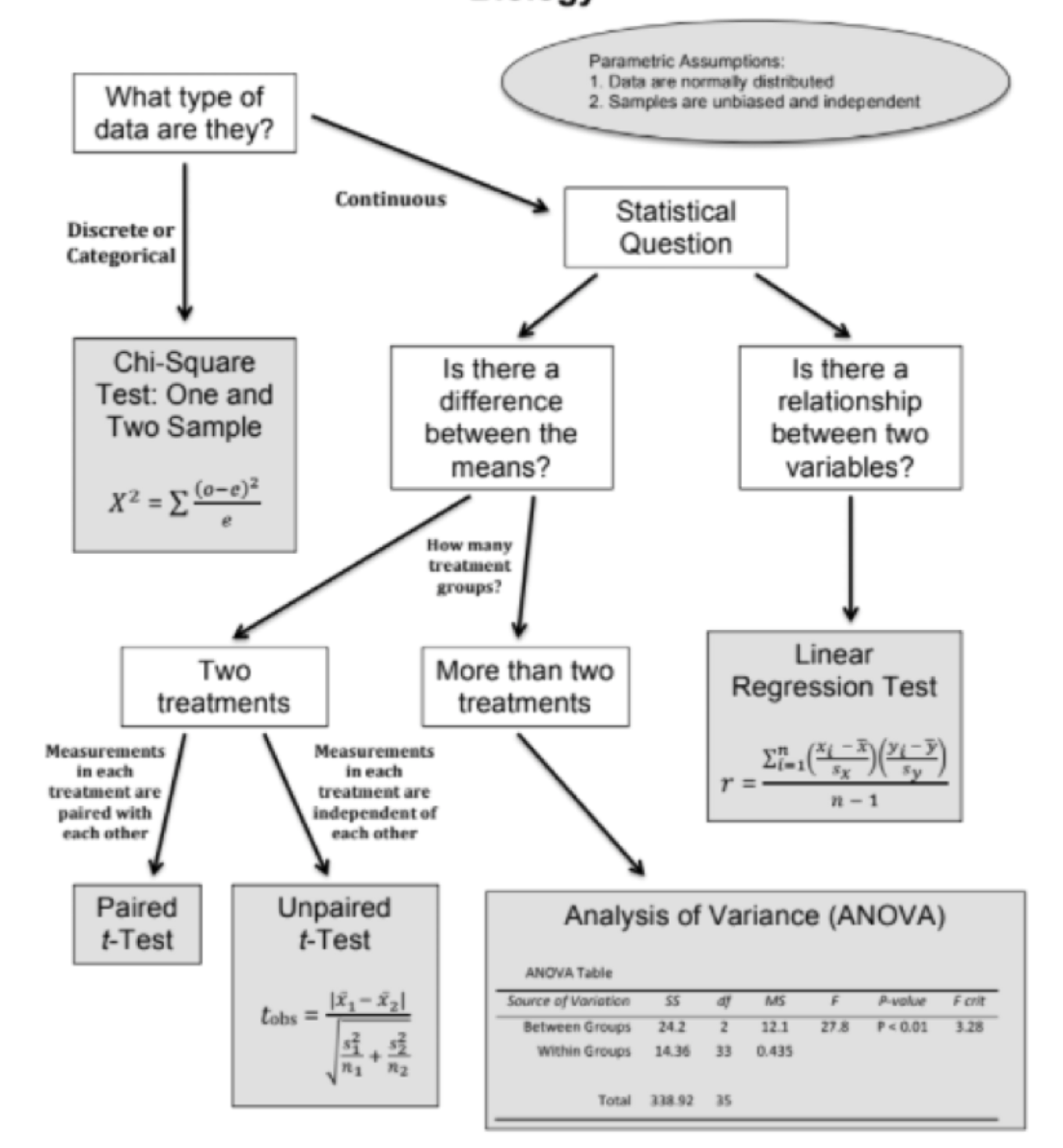 Statistical Testing Using Python Test Statistics By Vaneeza Ahmad Medium