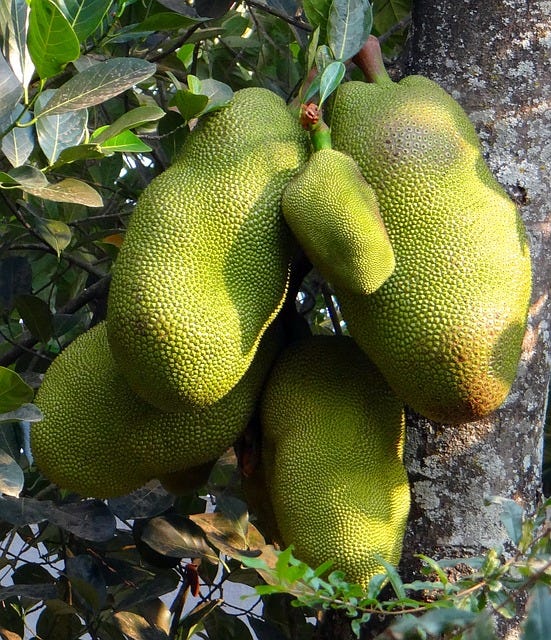 Whole Food Plant-based Chinese inspired Jackfruit recipe. | by Karen LJ ...