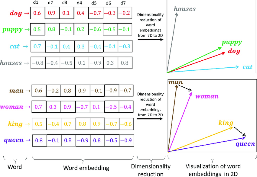 What Are Word Embeddings?. An introduction to the AI that powers… | by ...
