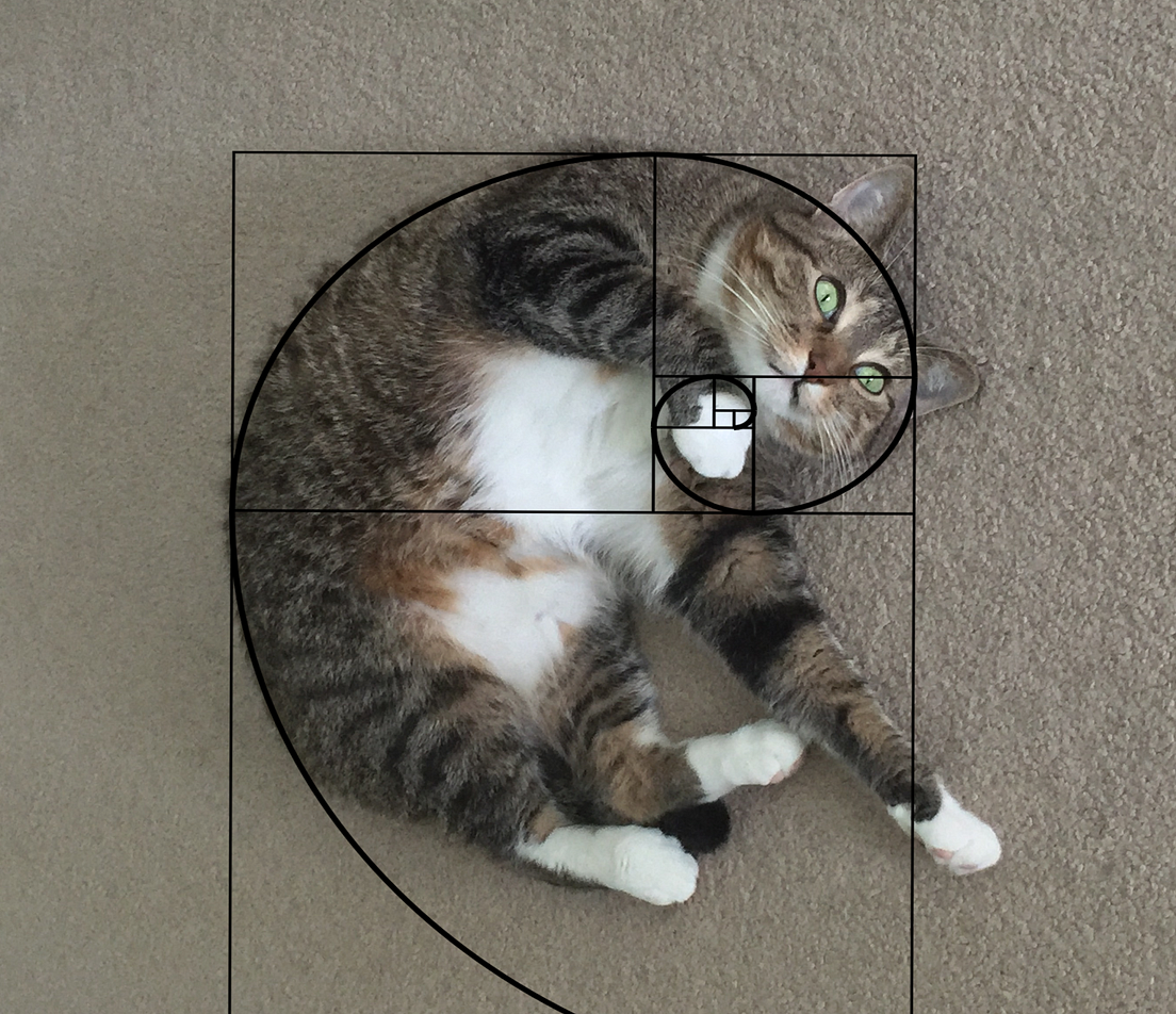 ‘Golden Ratio’ and ‘Fibonacci Numbers’: The Ultimate Toolkit for ...