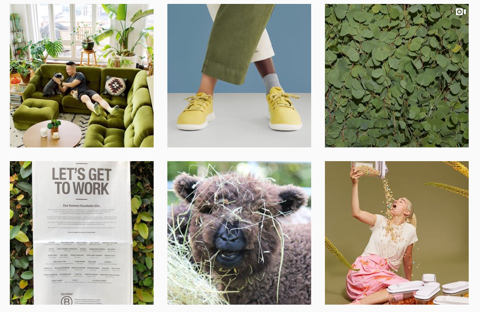 Allbirds: A Detailed Growth Marketing Analysis on How The Company ...