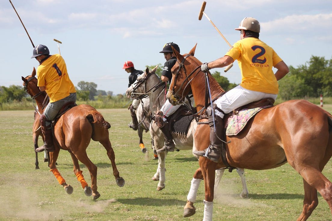 Juego de Polo. ¿Cómo surge el Polo como deporte? | by Horses Polo ...