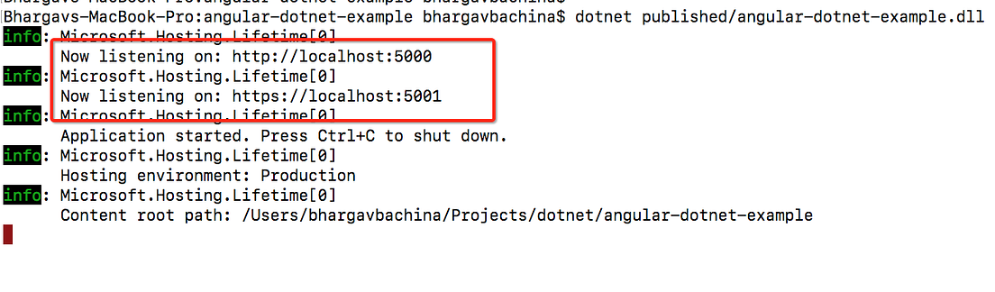 Dockerizing Angular App With Core Backend By