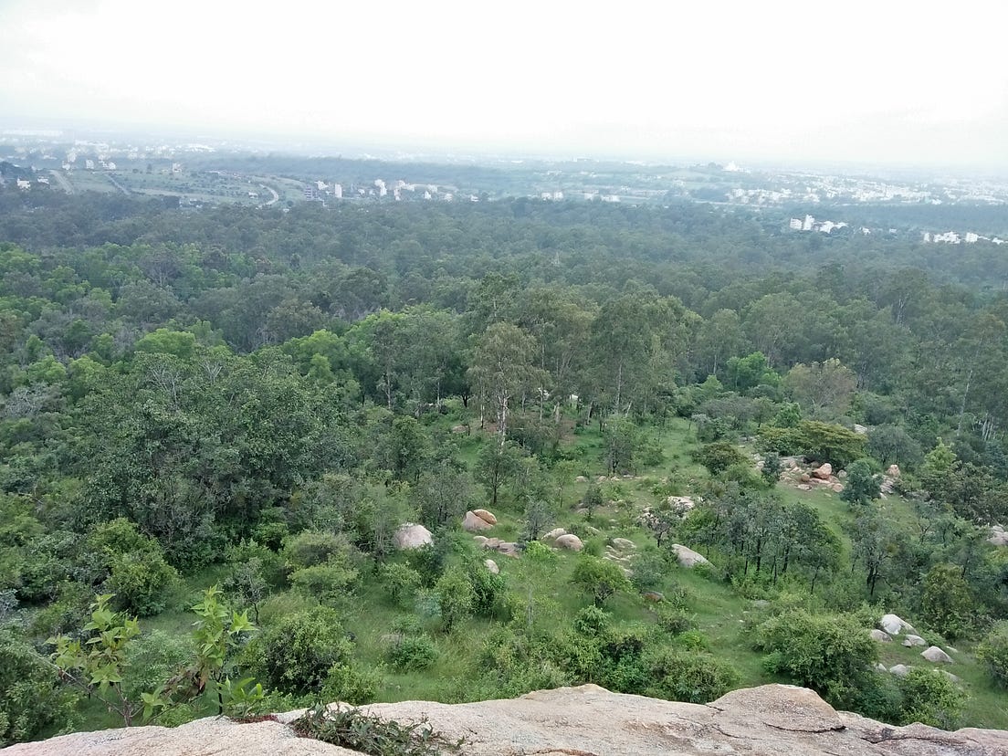Turahalli-the Paradise of adventuristic Bengaluru | by Vijay Vikky | Medium