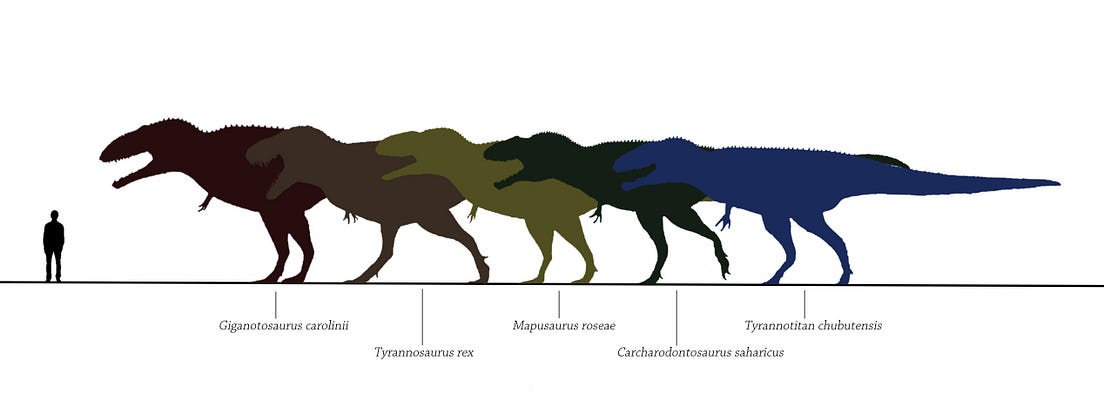 When Tyrannosaurs Were Prey. The rise and fall of the giant… | by Panos ...