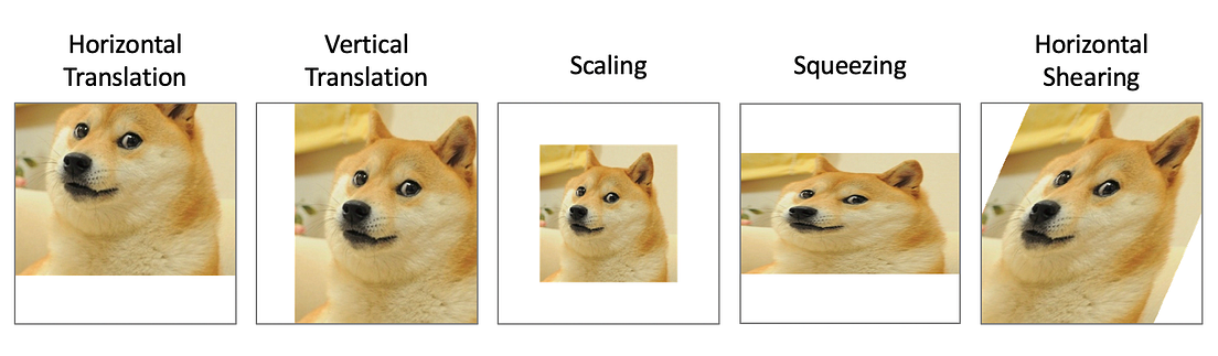 Complete Guide To Data Augmentation For Computer Vision By Olga Chernytska Towards Data Science
