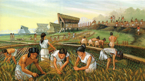 The peopling of the Japanese archipelago and the formation of modern ...