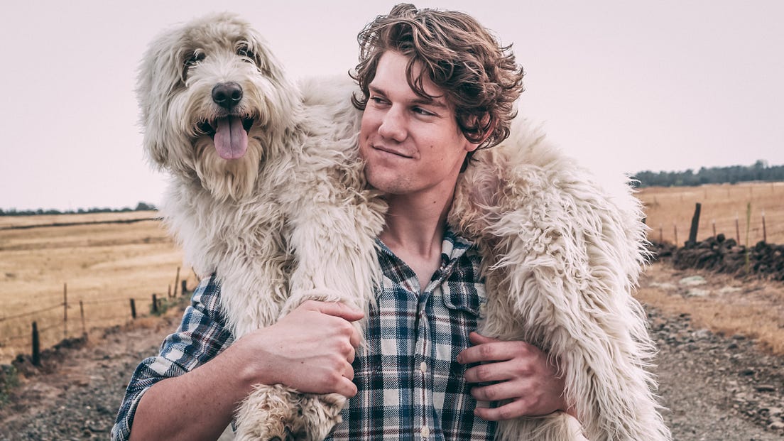 Steve’s the Best. Steve was everyone’s favorite pet… | by Robin Harwick ...