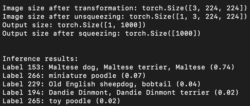 使用 Pytorch 提供的預訓練模型 Pretrained Model 做影像分類 Image Classification By Rowants Medium