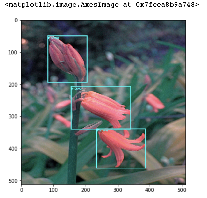 Custom Object Detection With Yolo V5 By Arun Prakash